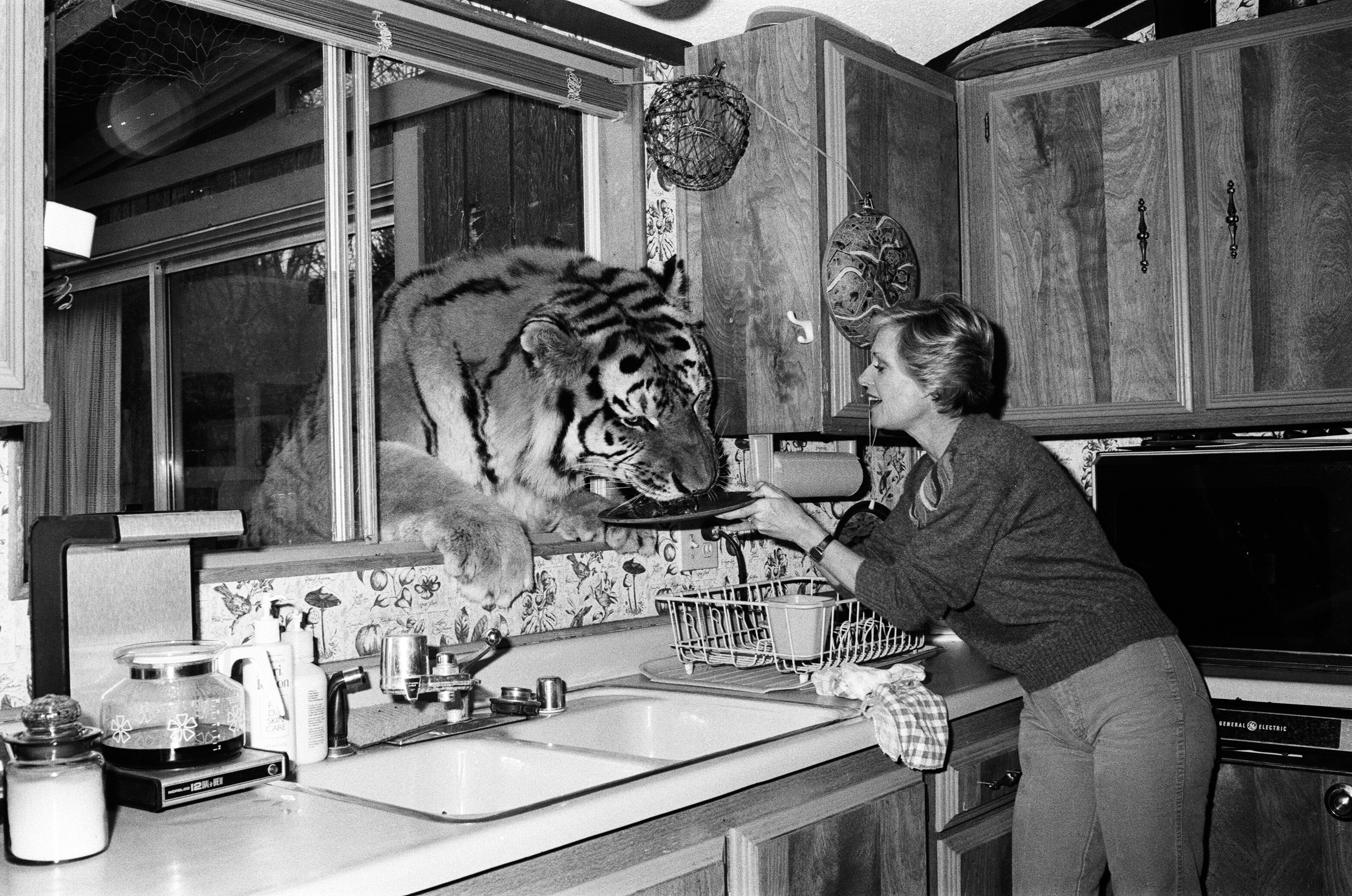 Before Tiger King, Tippi Hedren was the Tiger Queen of Hollywood