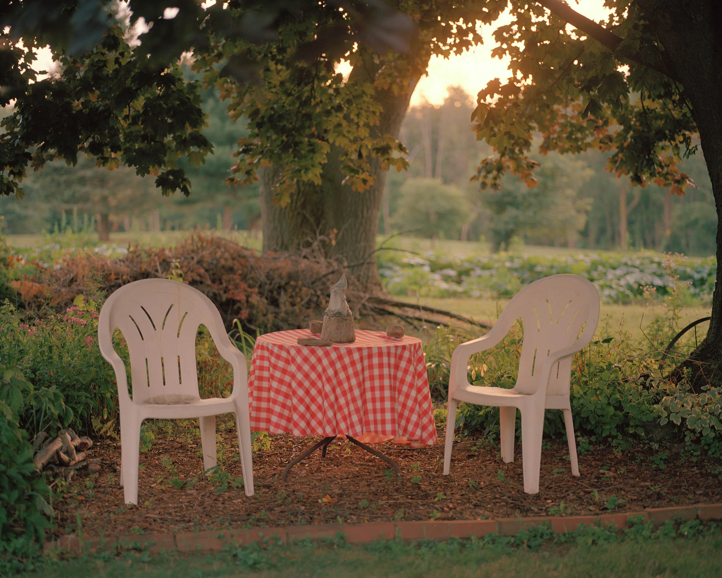 19 Photographers Share a Quarantine-Inspired Still Life