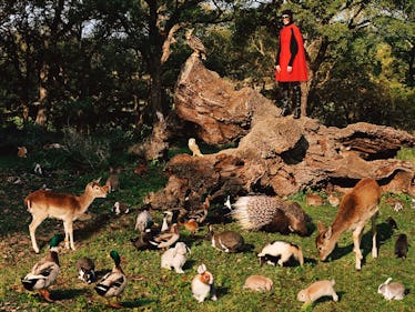 Gucci’s New Campaign Stars Are Just Very Cute Animals