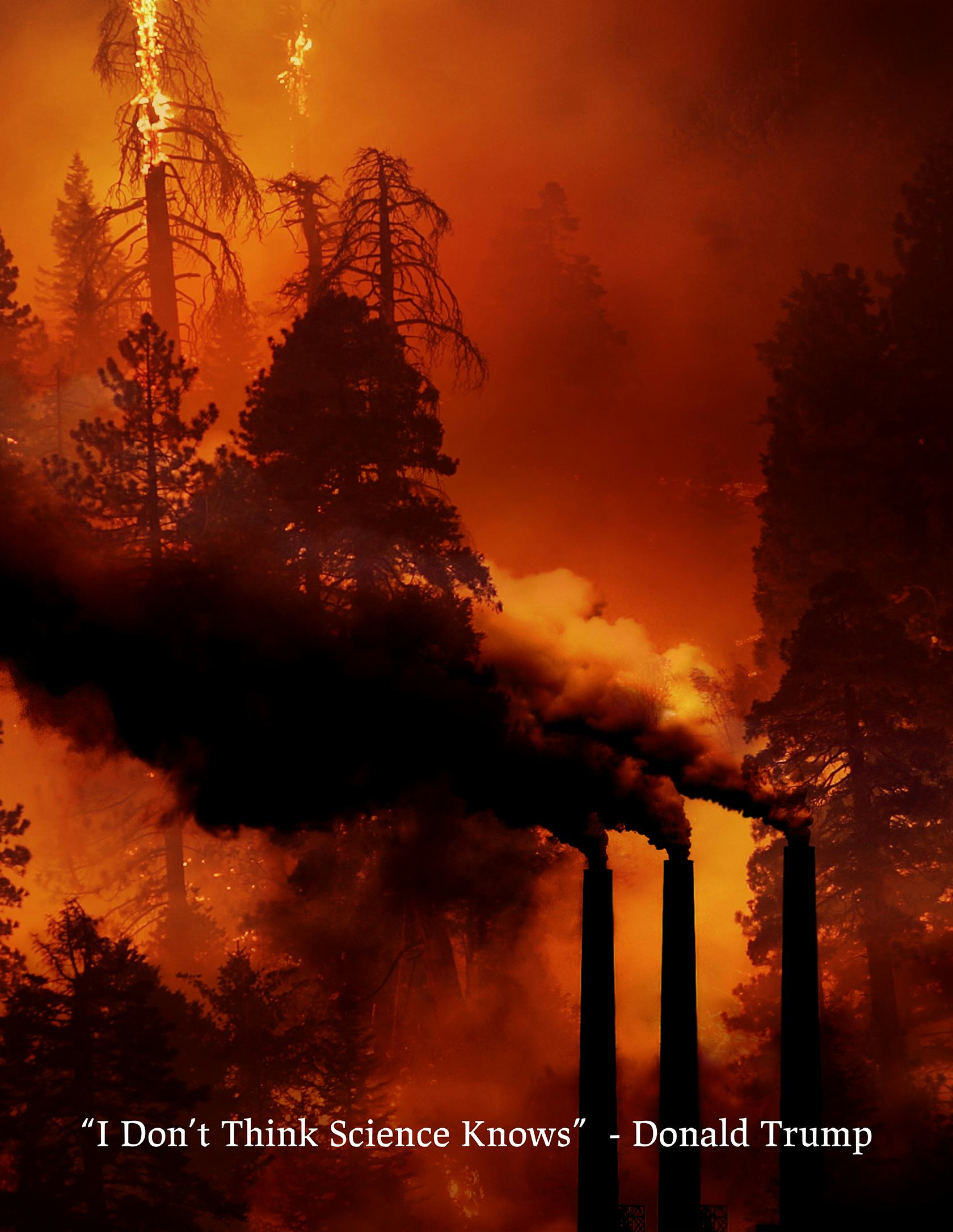 Artists Envision a New Kind of Political Poster