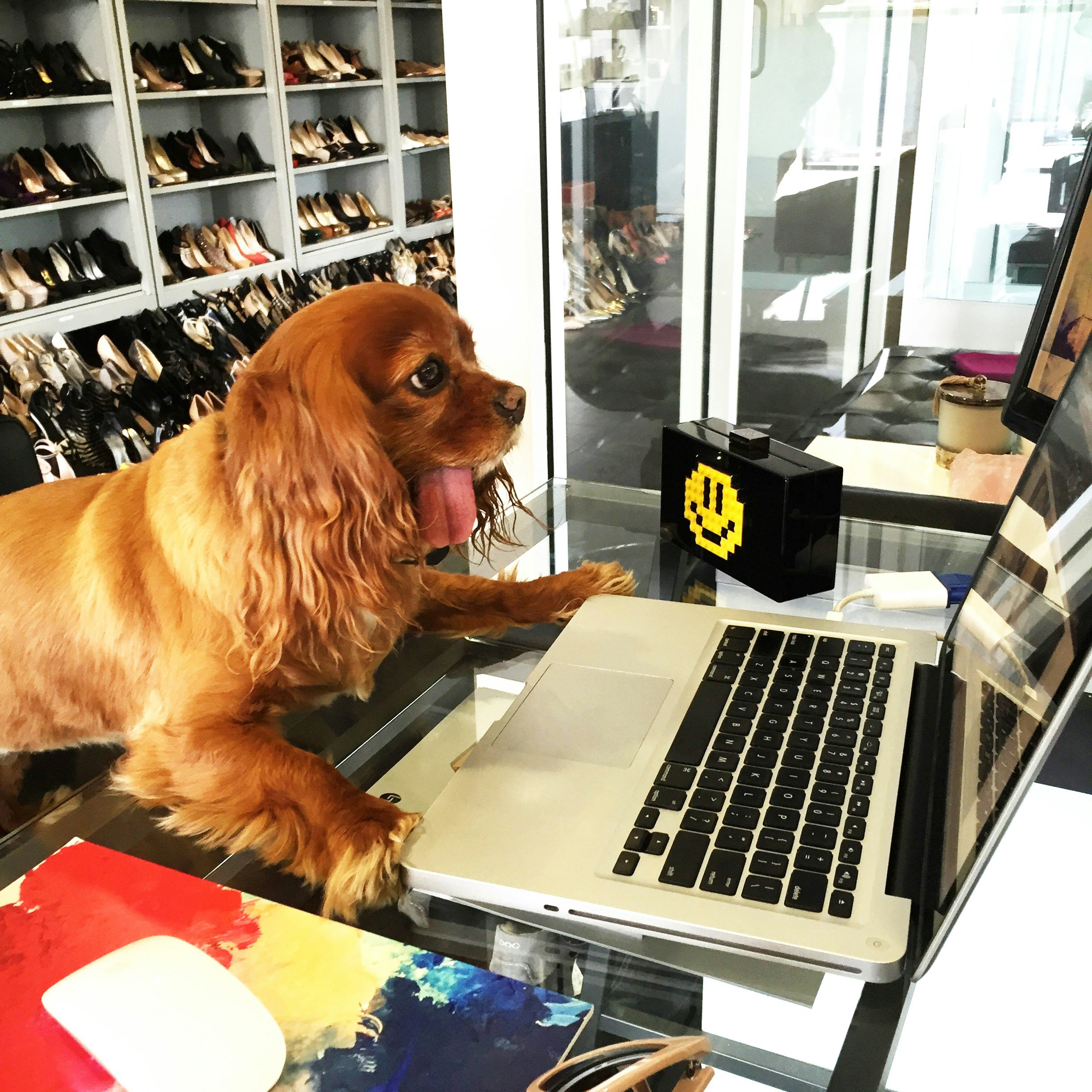 Toast Meets TZR: Get To Know Our Adorable Guest Editor