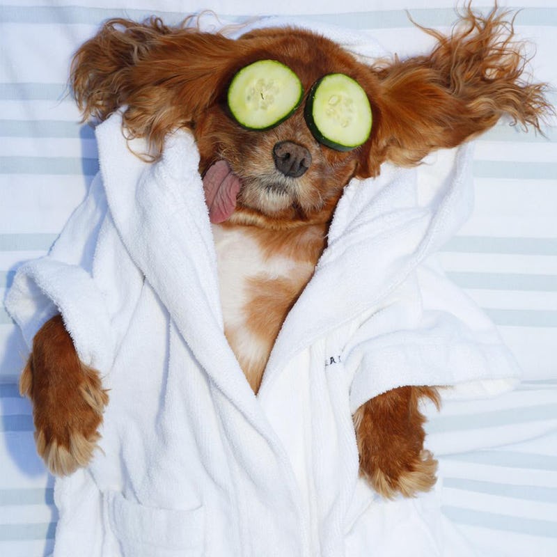 How To Win At Instagram