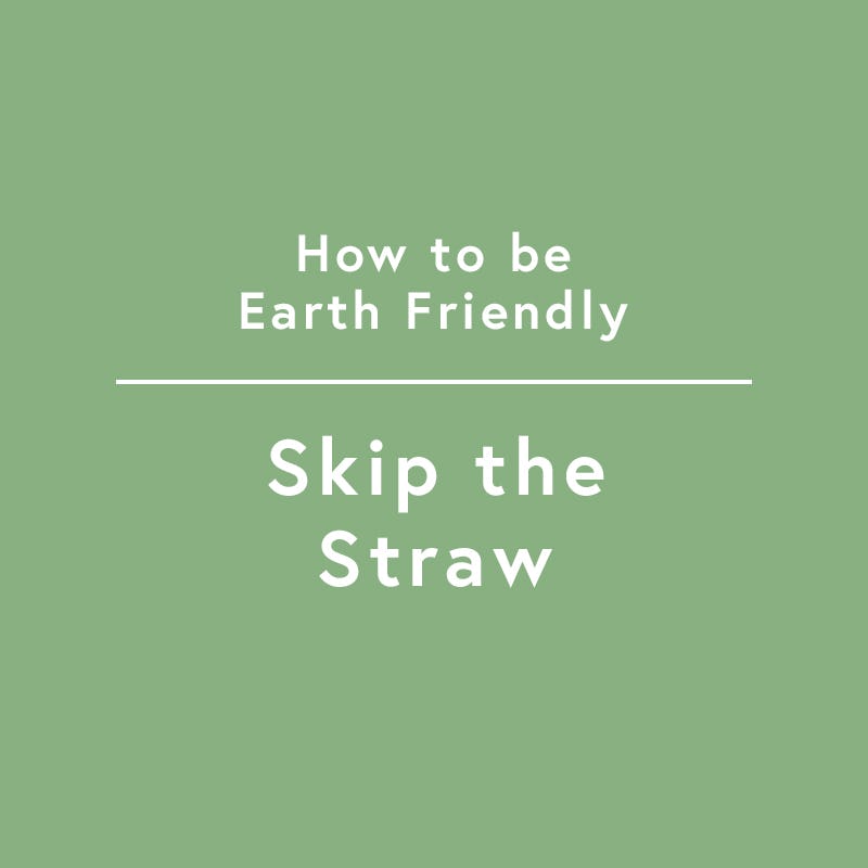 The Busy Girl’s Guide To Saving The Earth