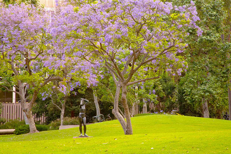 5 Stunning Art Parks To See Before You Die